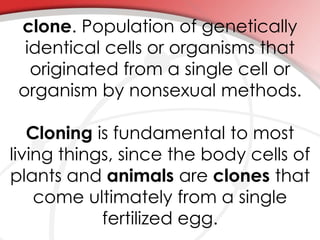 Animal Cloning | PPTX