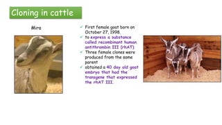 Animal cloning | PPTX