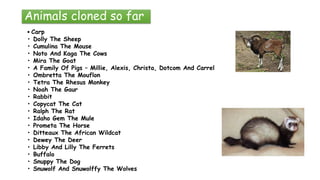 Animal cloning | PPTX