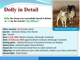 Animal cloning | PPTX