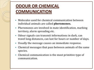 Animal communication | PPTX