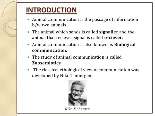 Animal communication