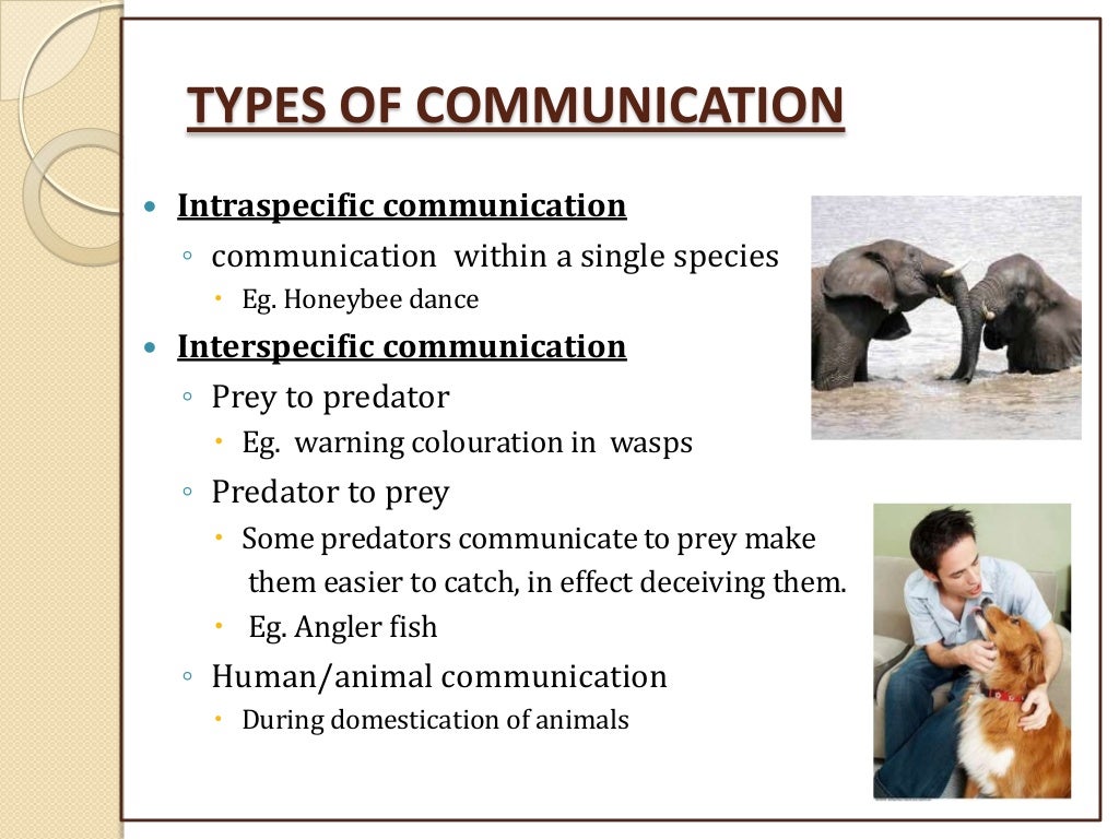 Animal communication