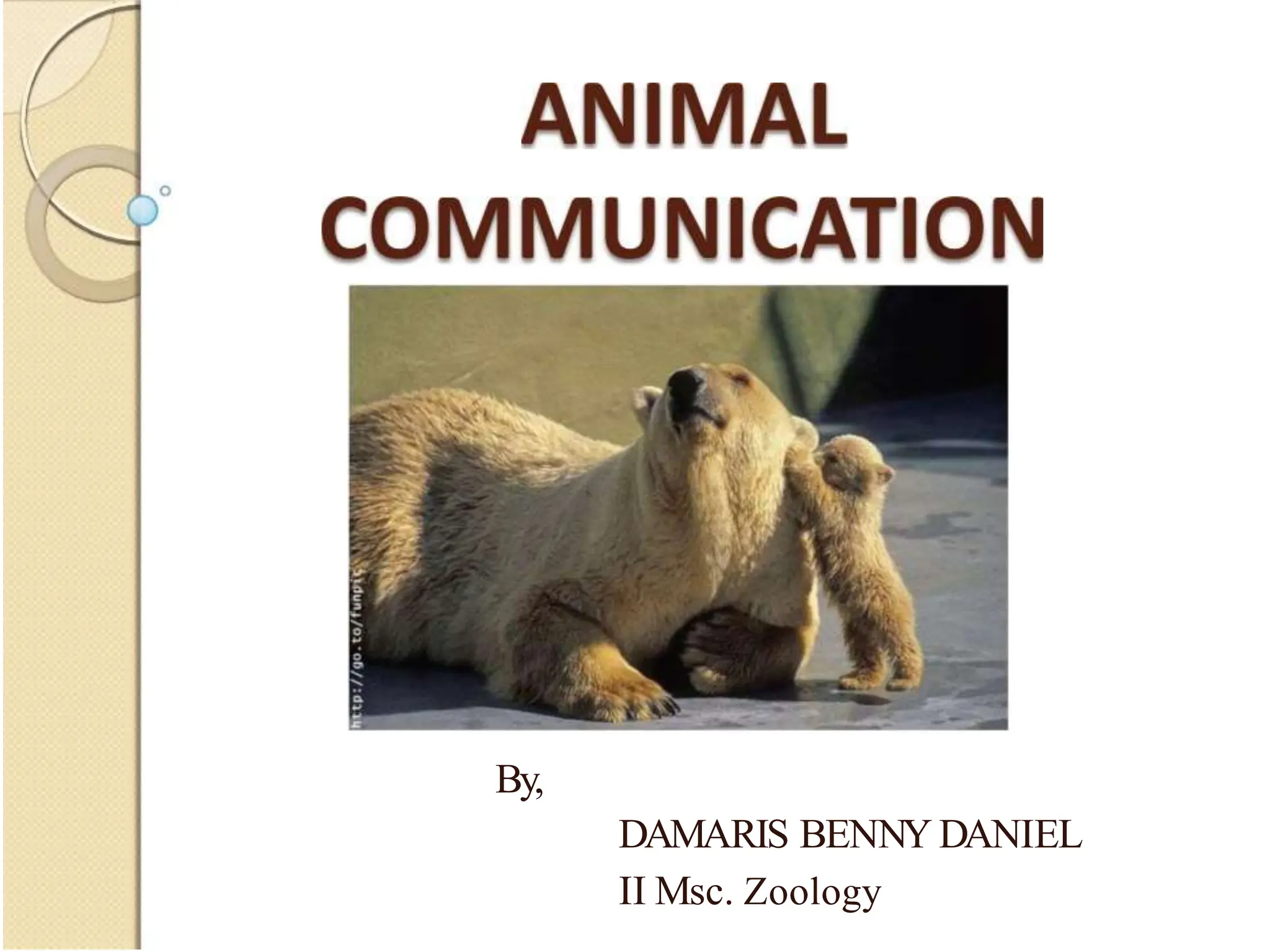 animal communication and behaviours.pptx