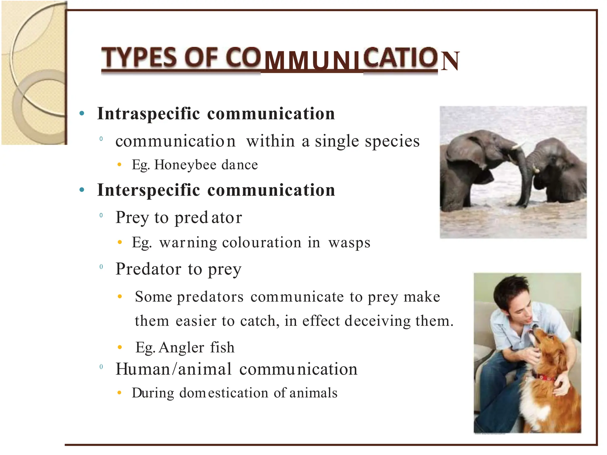 animal communication and behaviours.pptx
