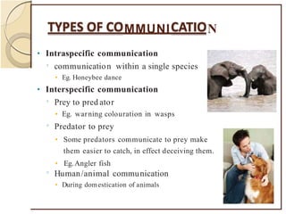 animal communication and behaviours.pptx