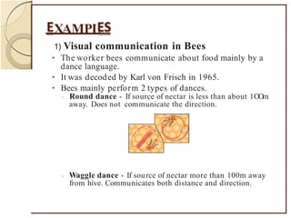 animal communication and behaviours.pptx