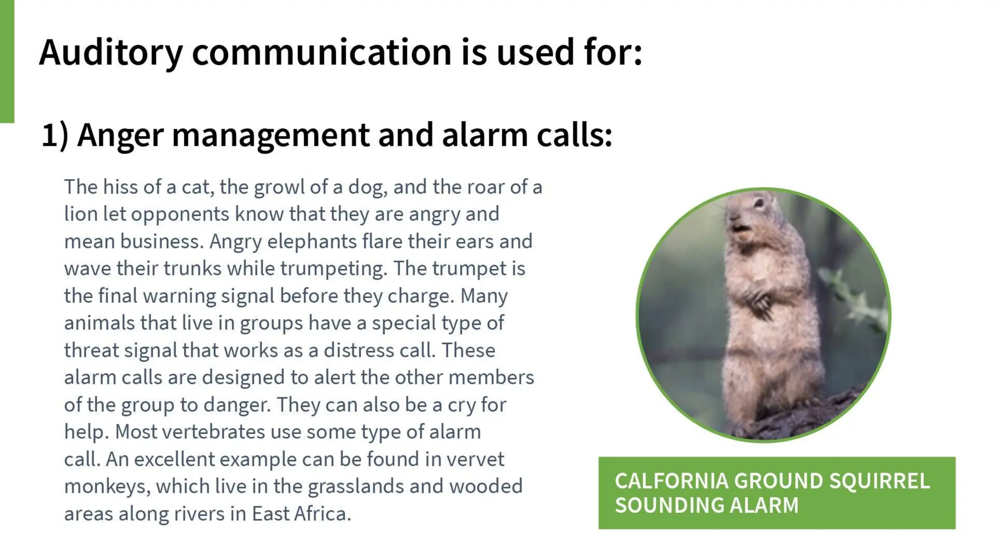 Animal Communication- Auditory and Visual.pptx