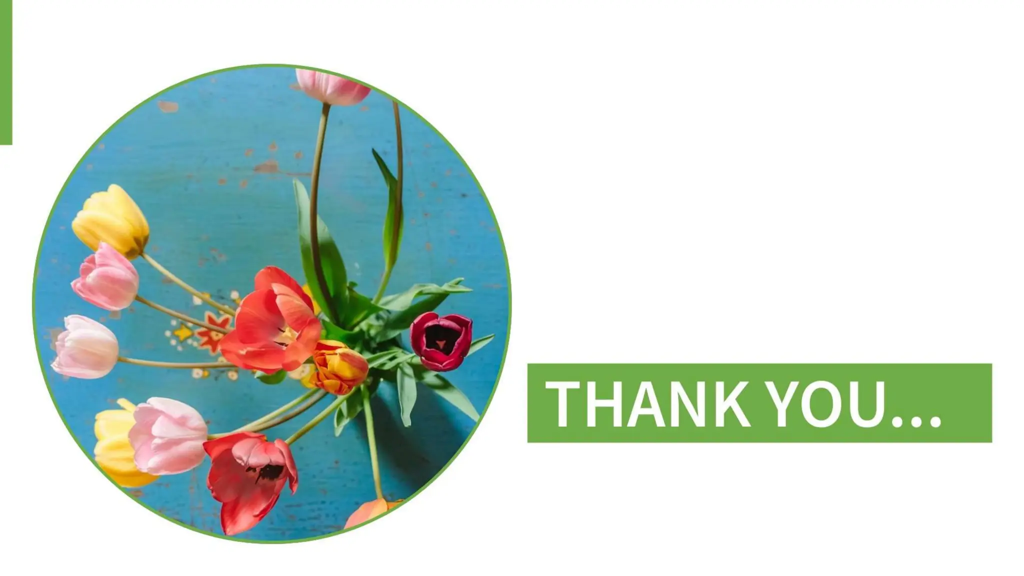 Animal Communication- Auditory and Visual.pptx