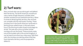 Animal Communication- Auditory and Visual.pptx