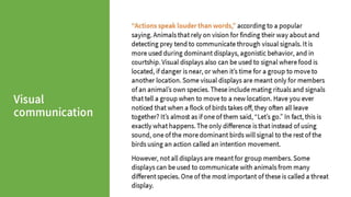 Animal Communication- Auditory and Visual.pptx
