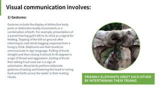 Animal Communication- Auditory and Visual.pptx