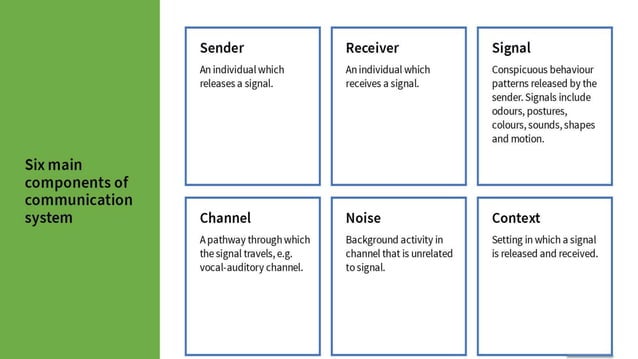 Animal Communication- Auditory and Visual.pptx