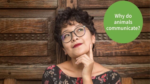 Animal Communication- Auditory and Visual.pptx