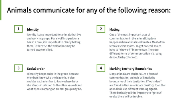 Animal Communication- Auditory and Visual.pptx