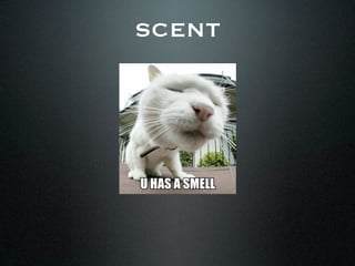 Animal Communication | PPT