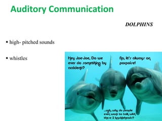 Animal communication | PPT