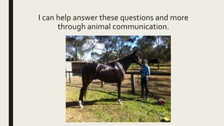 Animal Communication | PPT
