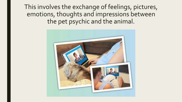 Animal Communication | PPT