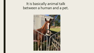 Animal Communication | PPT