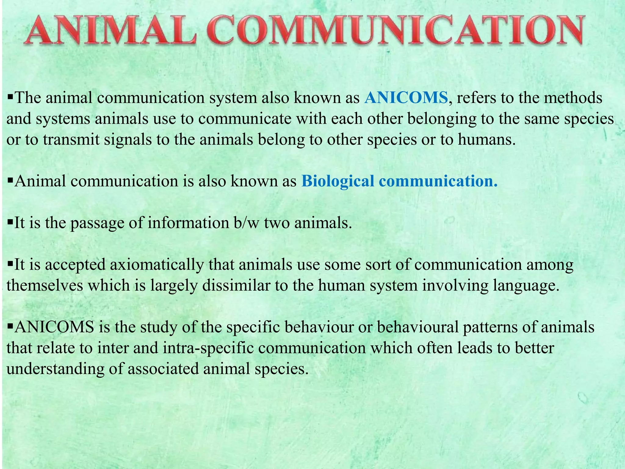 Animal communication | PPTX