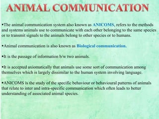 Animal communication | PPT