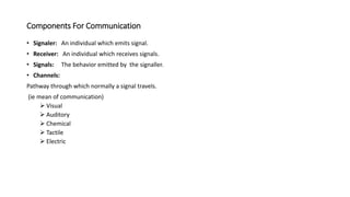 Animal Communication.pptx