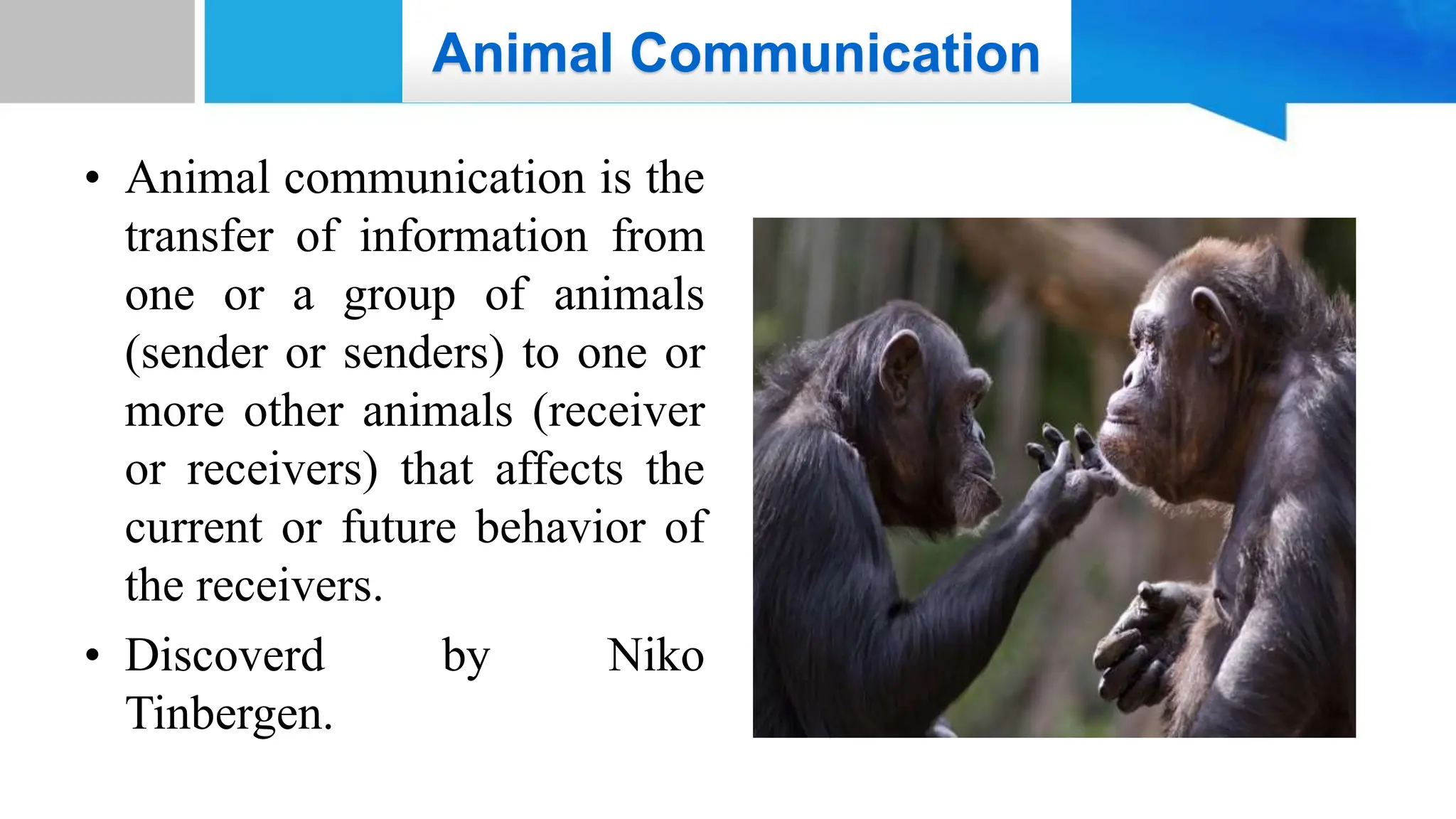 Animal communication elephant communication | PPT