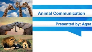 Animal communication elephant communication | PPT
