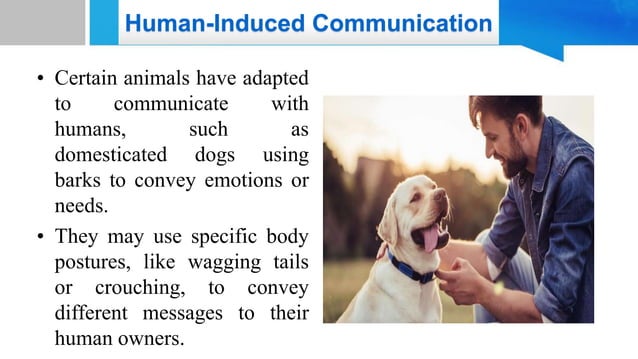 Animal communication elephant communication | PPT