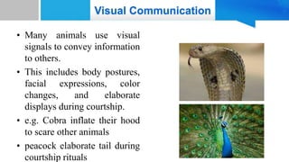 Animal communication elephant communication | PPT