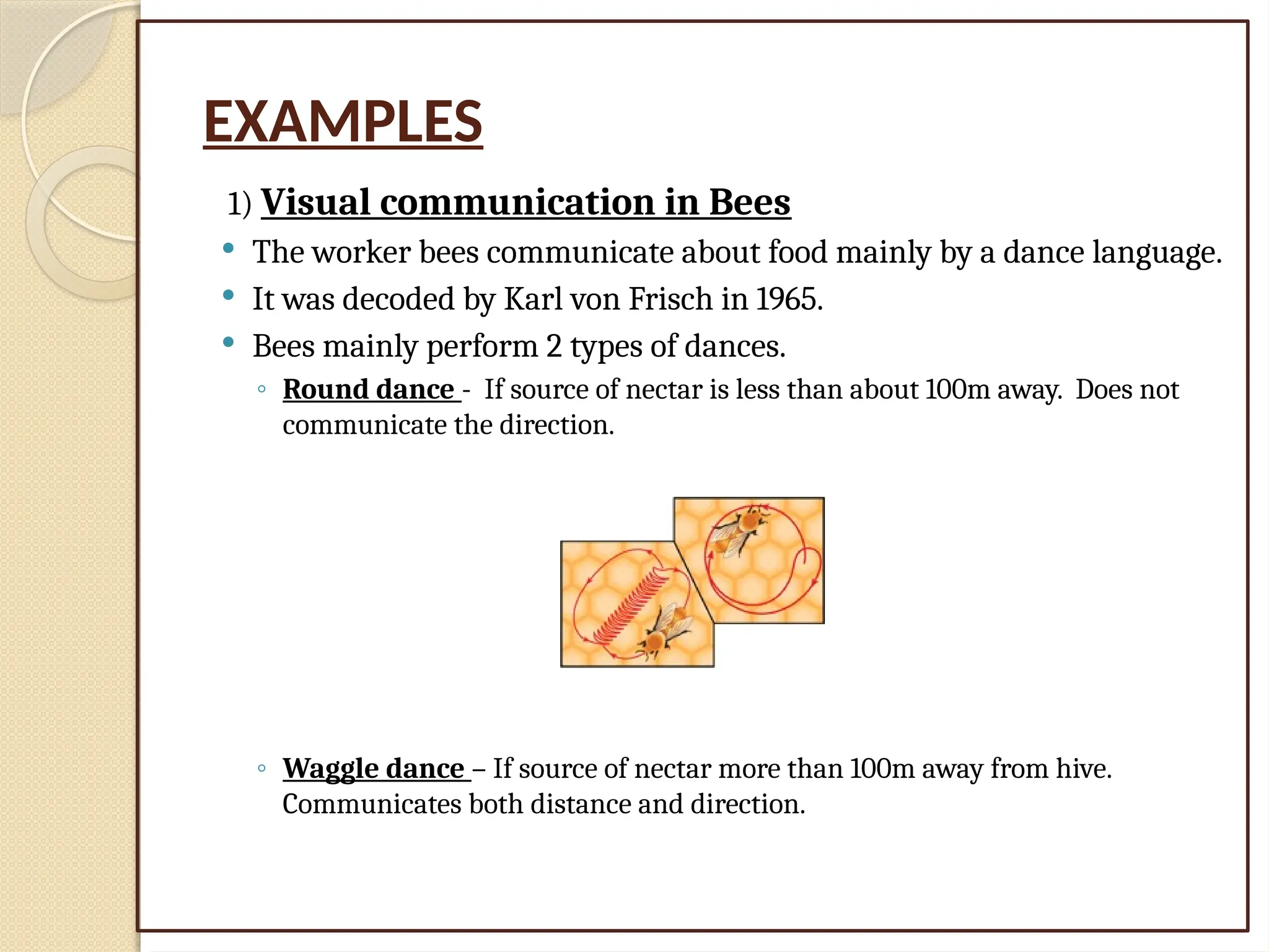 animal communication.pptx................. | PPT