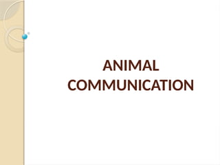 animal communication.pptx................. | PPTX