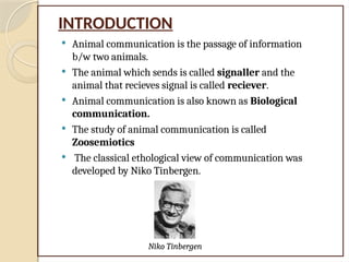 animal communication.pptx................. | PPTX