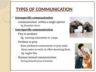 animal communication.pptx................. | PPTX