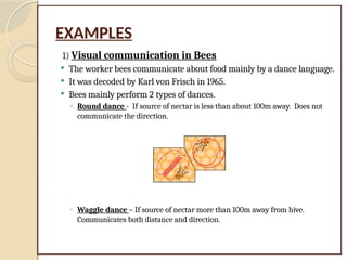 animal communication.pptx................. | PPTX
