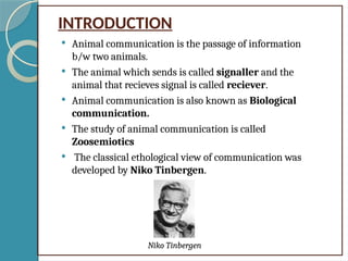 Animal Communication ,competitions and interactions | PPTX
