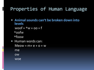Animal communication and human language | PPTX