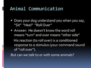 Animal communication and human language | PPTX