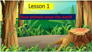 Animal communication (expression and sound) | PPT