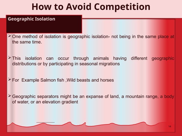 Animal competition............................pptx