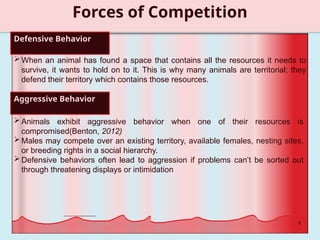 Animal competition............................pptx