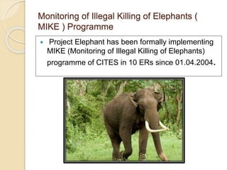 Animal conservation projects in india | PPT