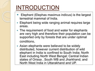 Animal conservation projects in india | PPT