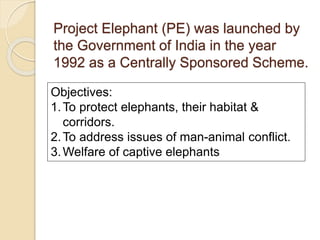 Animal conservation projects in india | PPTX