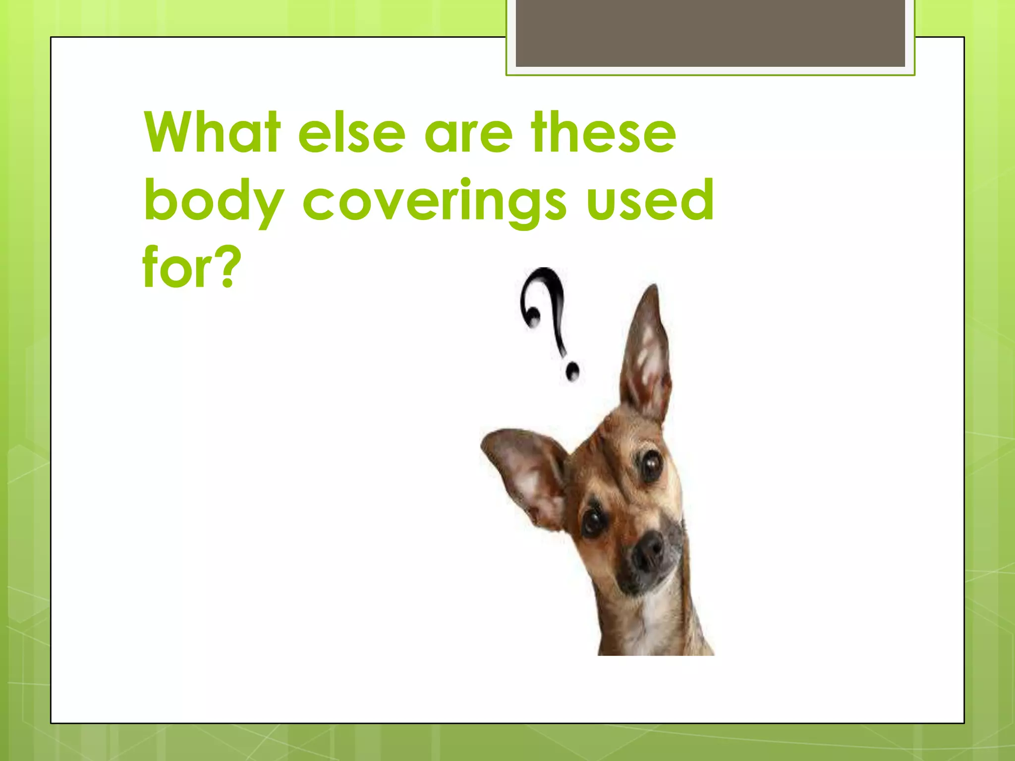 Animal covering ppt | PPTX
