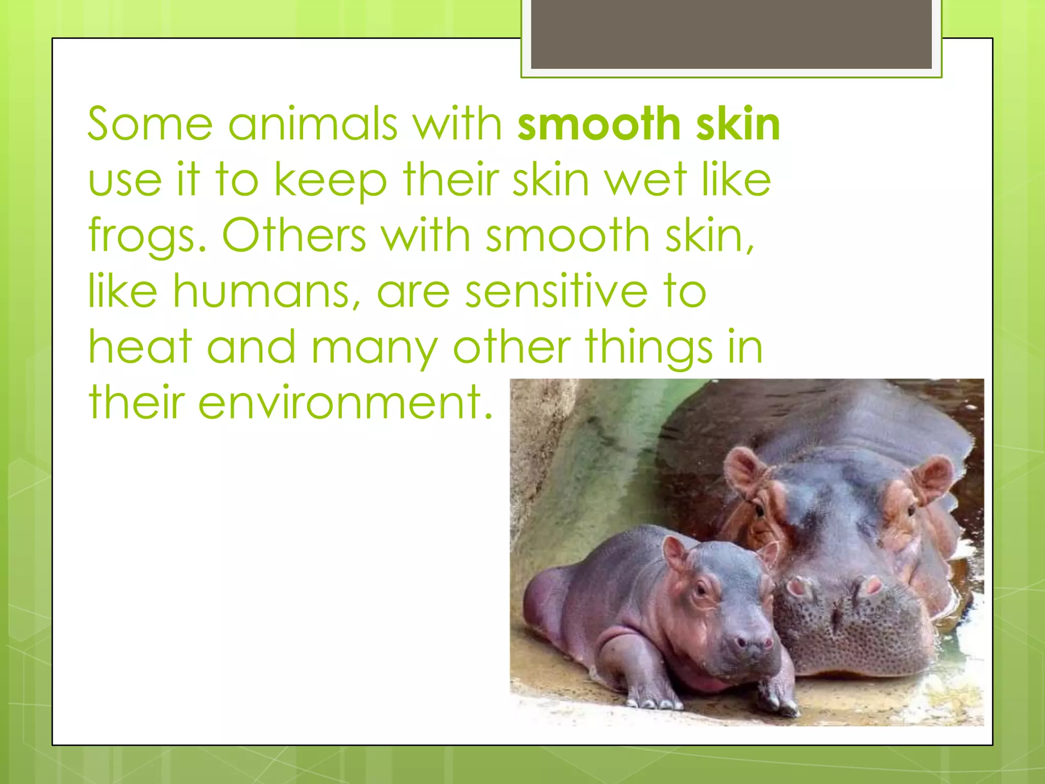 Animal covering ppt | PPTX
