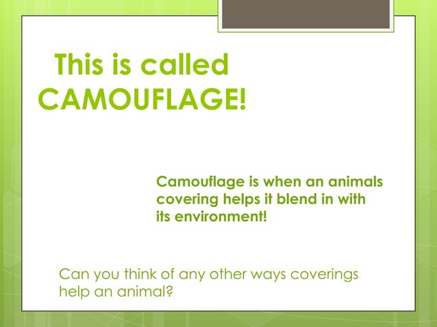 Animal covering ppt | PPTX