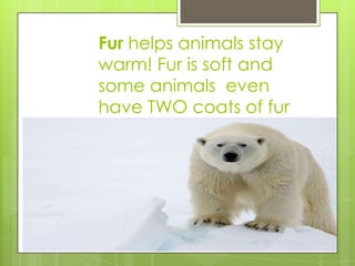 Animal covering ppt | PPTX
