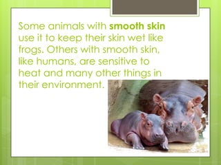 Animal covering ppt | PPTX